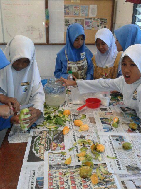 Sekolah Kebangsaan Mahang: Sains Tahun 6 (Penjerukan)