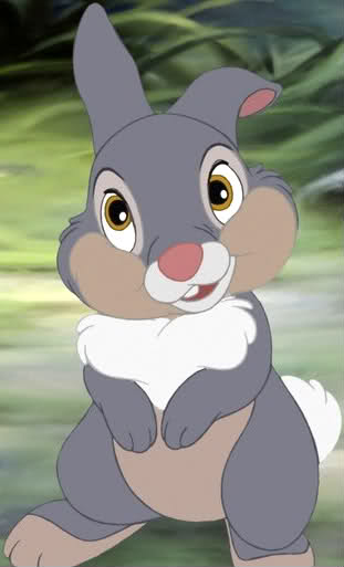 ¿Cómo llamarle? ~ Tengo Un Conejo