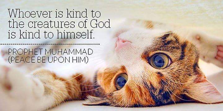 Social Change In Mind Production