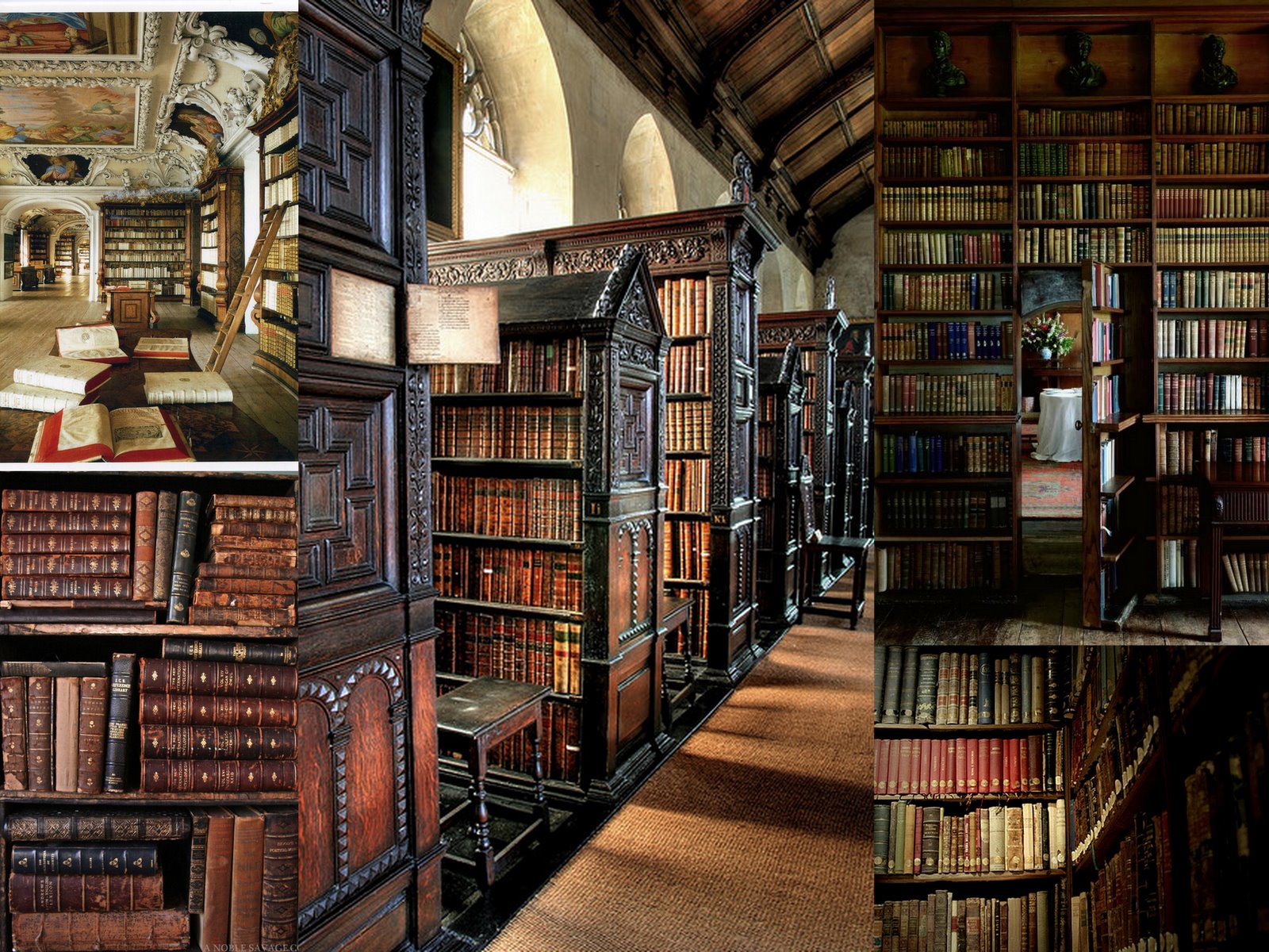 Historie in Bibliotheek Hoeksche Waard: Mooie bibliotheken in een ...