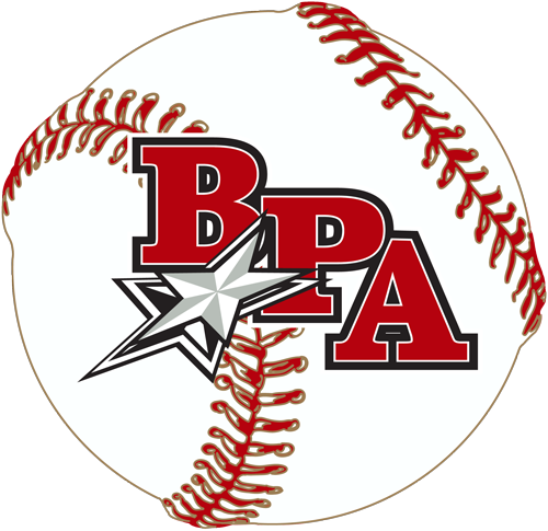 The Travel Ball Experience