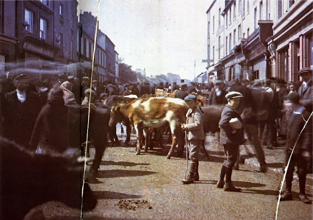 Ireland in Color Photographs in the 1910s ~ Vintage Everyday