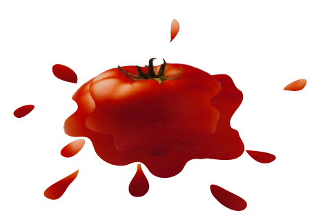 European Commission on Biotech Directive: tomatoes about to be squashed ...