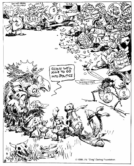 Moving On....2023: HUMBLE BEGINNINGS ON SANIBEL ISLAND