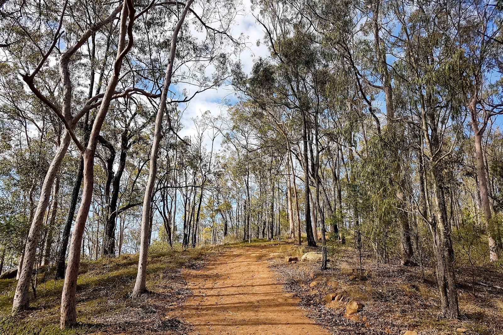 National Park Odyssey: Hardings Paddock, Flinders - Goolman ...