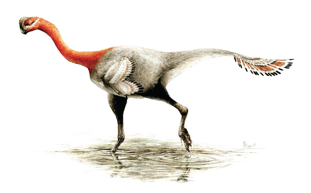 Species New to Science: [Paleontology • 2016] Apatoraptor pennatus • A ...