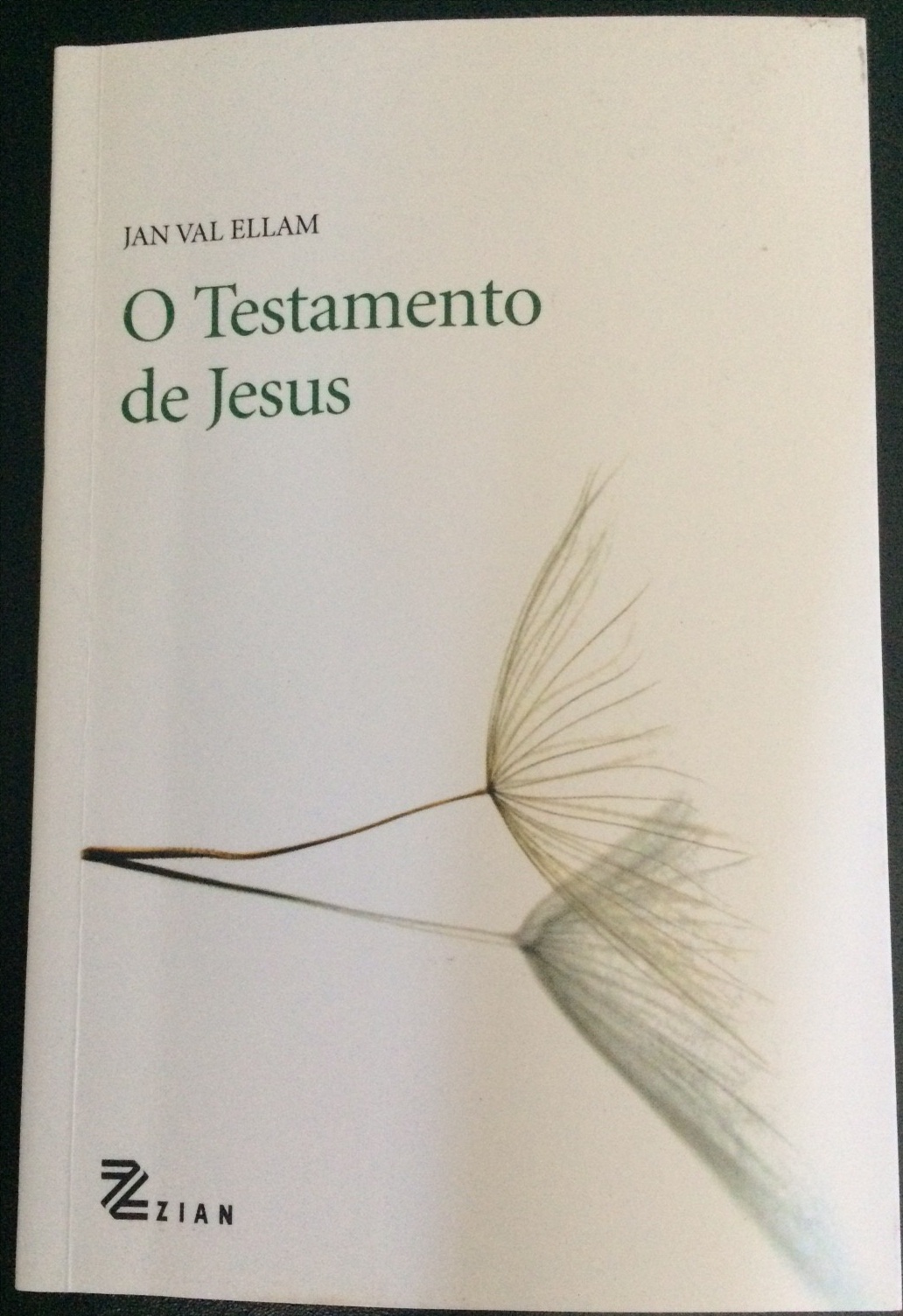 Livro: O Testamento de Jesus - Jan Val Ellam