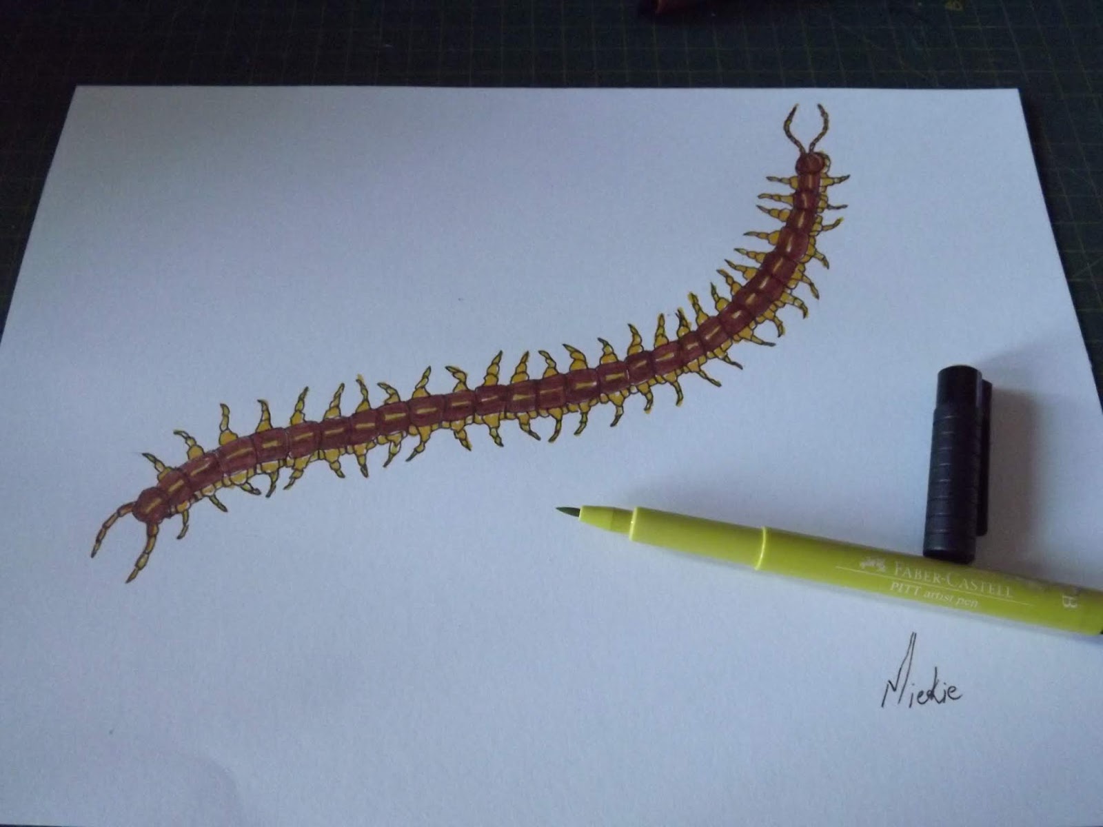 A Pretty Talent Blog: How to draw: A Centipede