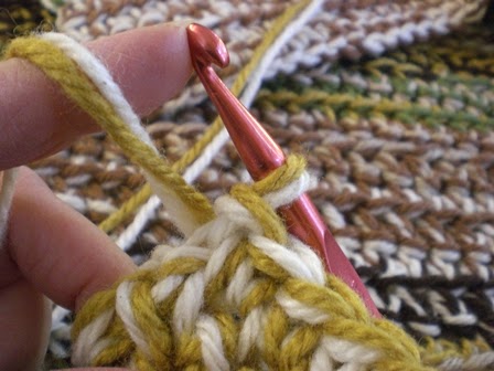A Home Grown Journal: Crocheted Rug with Heavy Rug Yarn Tutorial