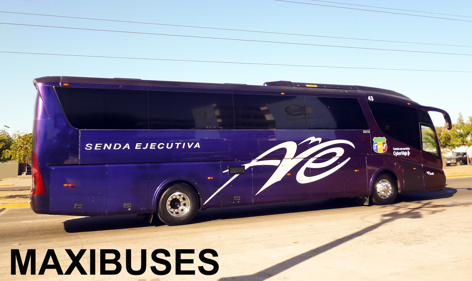 MAXIBUSES: AVE SENDA EJECUTIVA