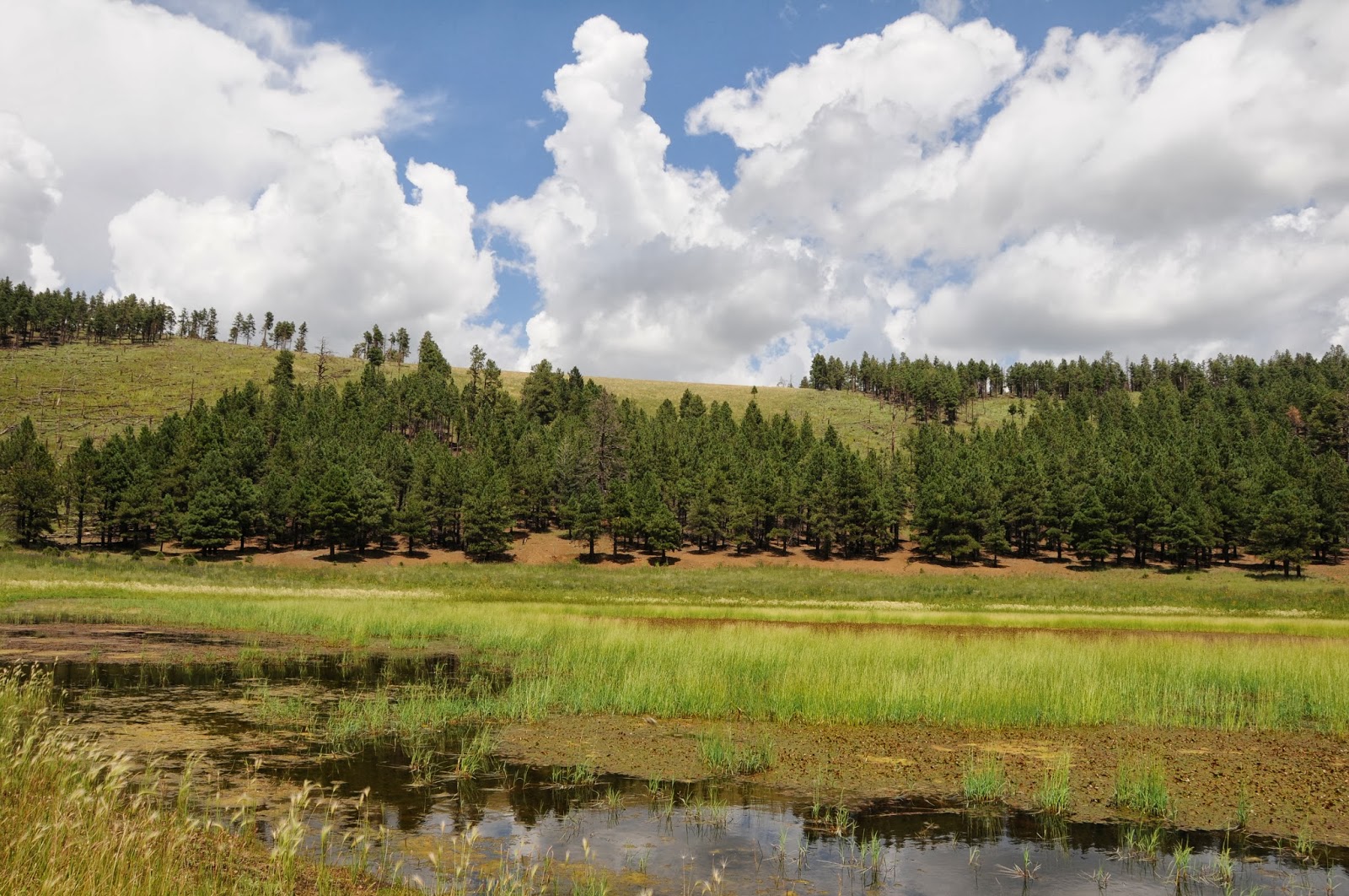 Arizona Hiking: WALKER LAKE