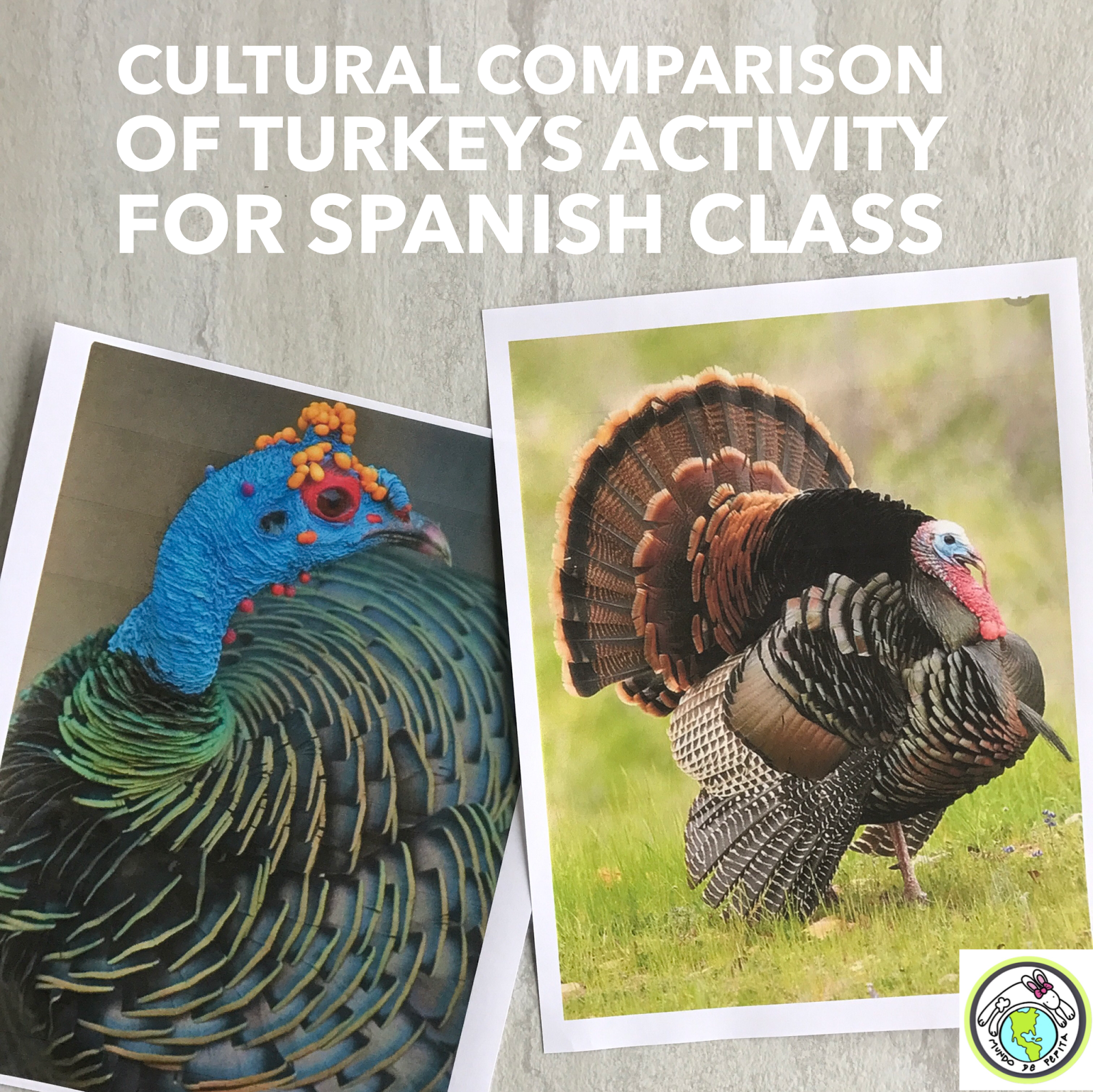 Cultural Connections: Comparing Turkeys in México & US as part of a ...