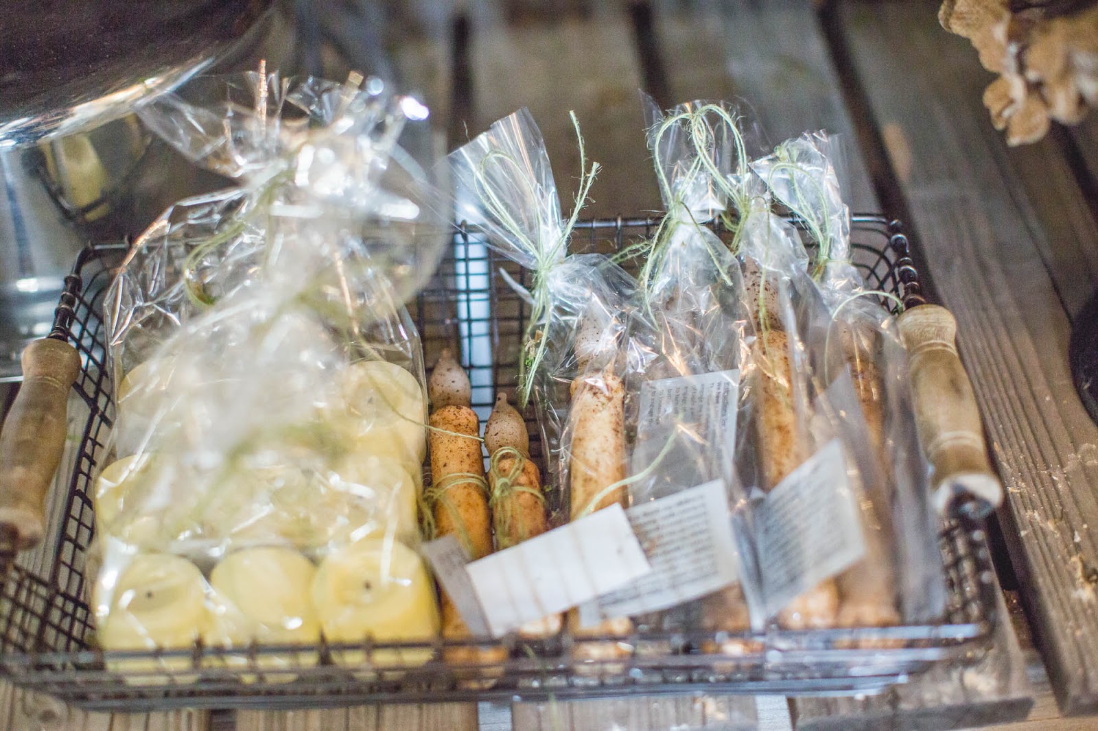 Junkyard Jezebel: Beyond The Garden Gate