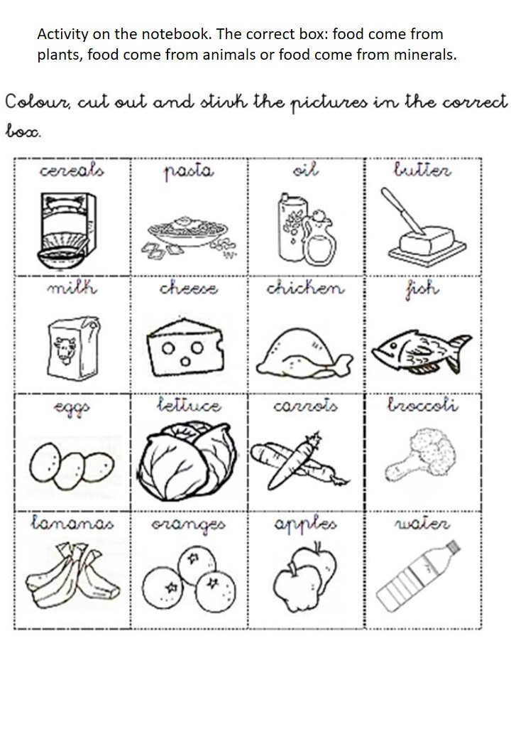 ciencia science 3: Classify food: from animals, from plants or from ...