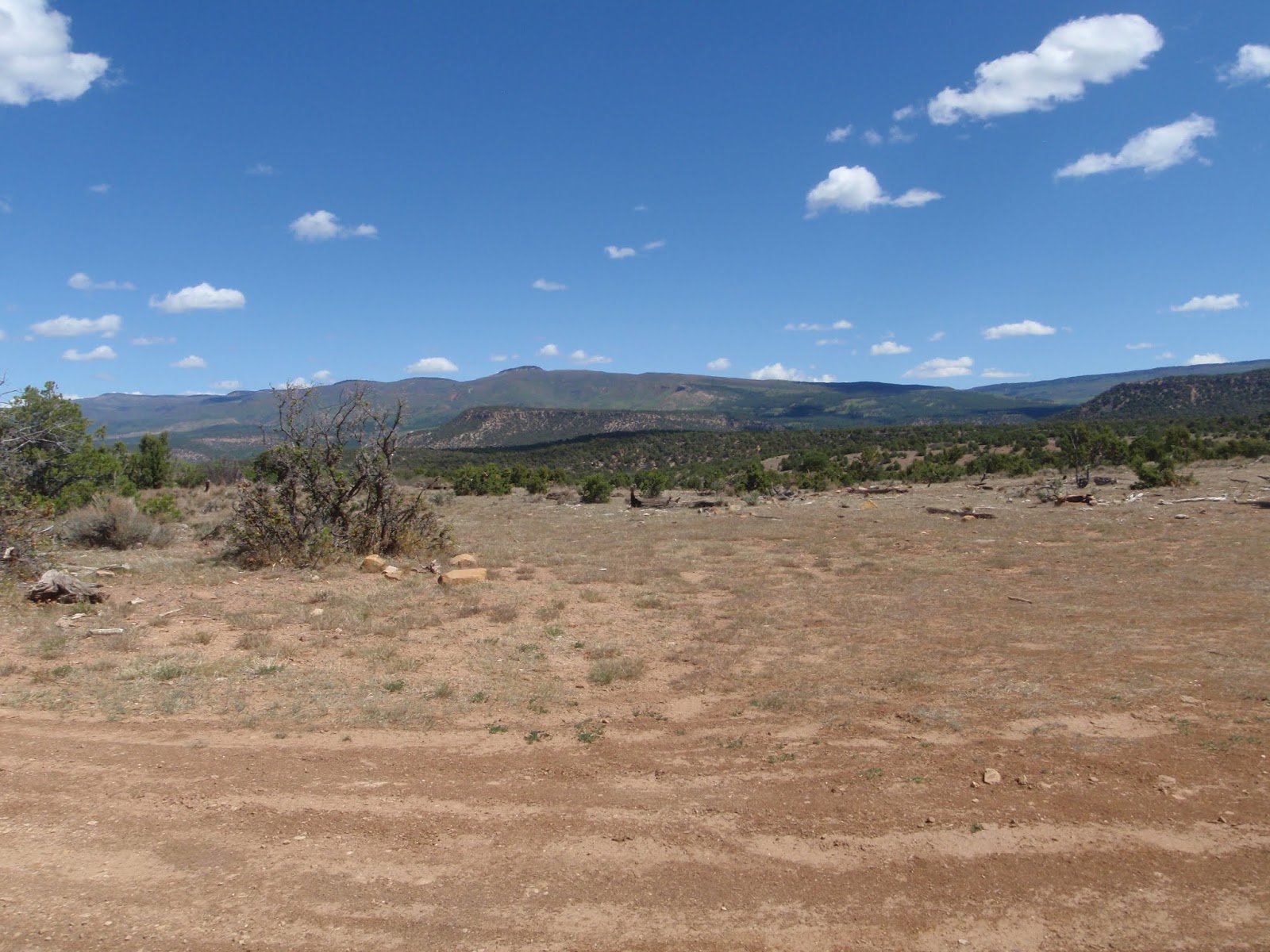 Zips Spot: A Grand-er Loop