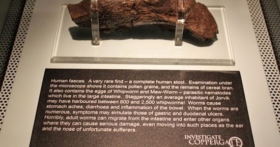 COSAS CURIOSAS - CURIOSIDADES DEL MUNDO - UN BLOG PARA CURIOSOS: ¿Qué ...