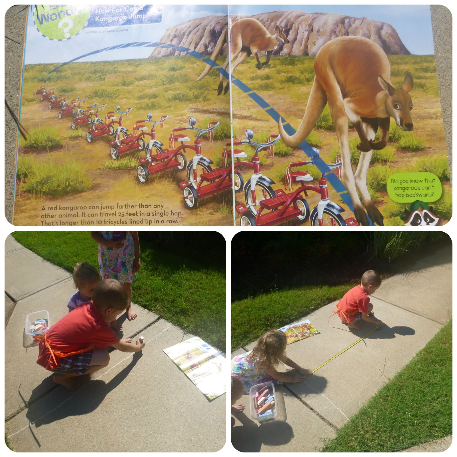 Rooted in love: Before Five in a Row - Katy No-Pocket