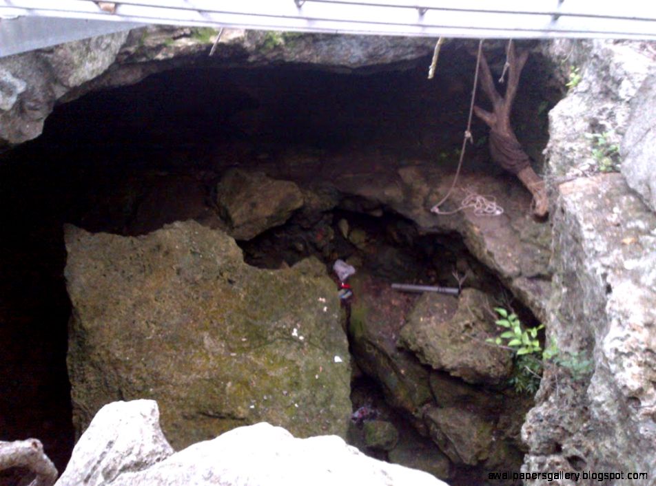 Inside Bear Cave | Wallpapers Gallery