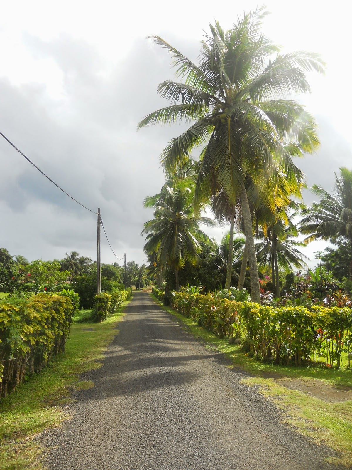 Another Day in New Zealand: Rarotonga Hike - Raemaru Heights Lookout
