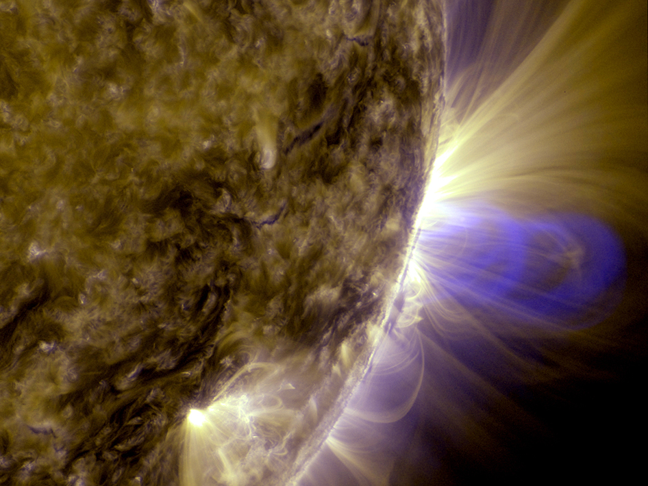 Suburban spaceman: Magnetic Flux Loops on the Sun Surface