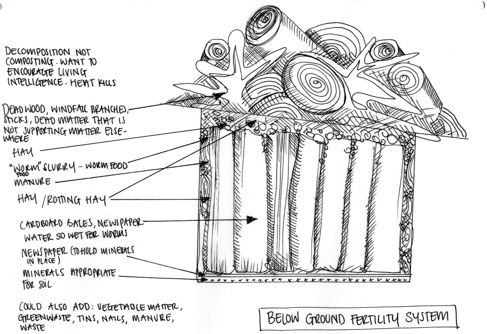 Living Fertility Systems | KENTUCKY LEARNING CENTRE