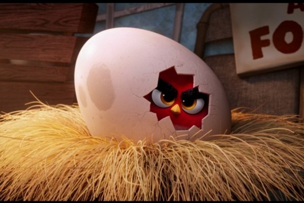 Serunya Film The Angry Birds Movie 2016 - Dunia Kartun