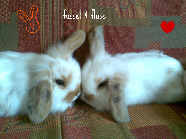 Fluse 'n Fussel: Fussel