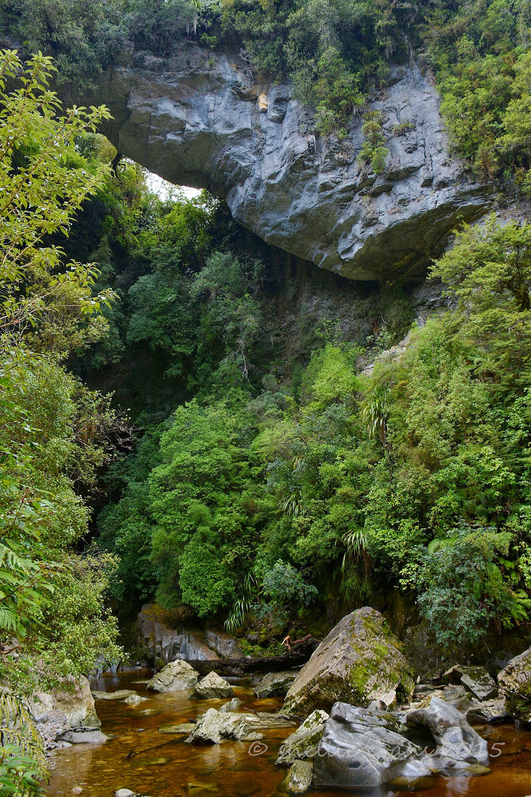 Two Go Tiki Touring: Lost World- The Oparara Basin
