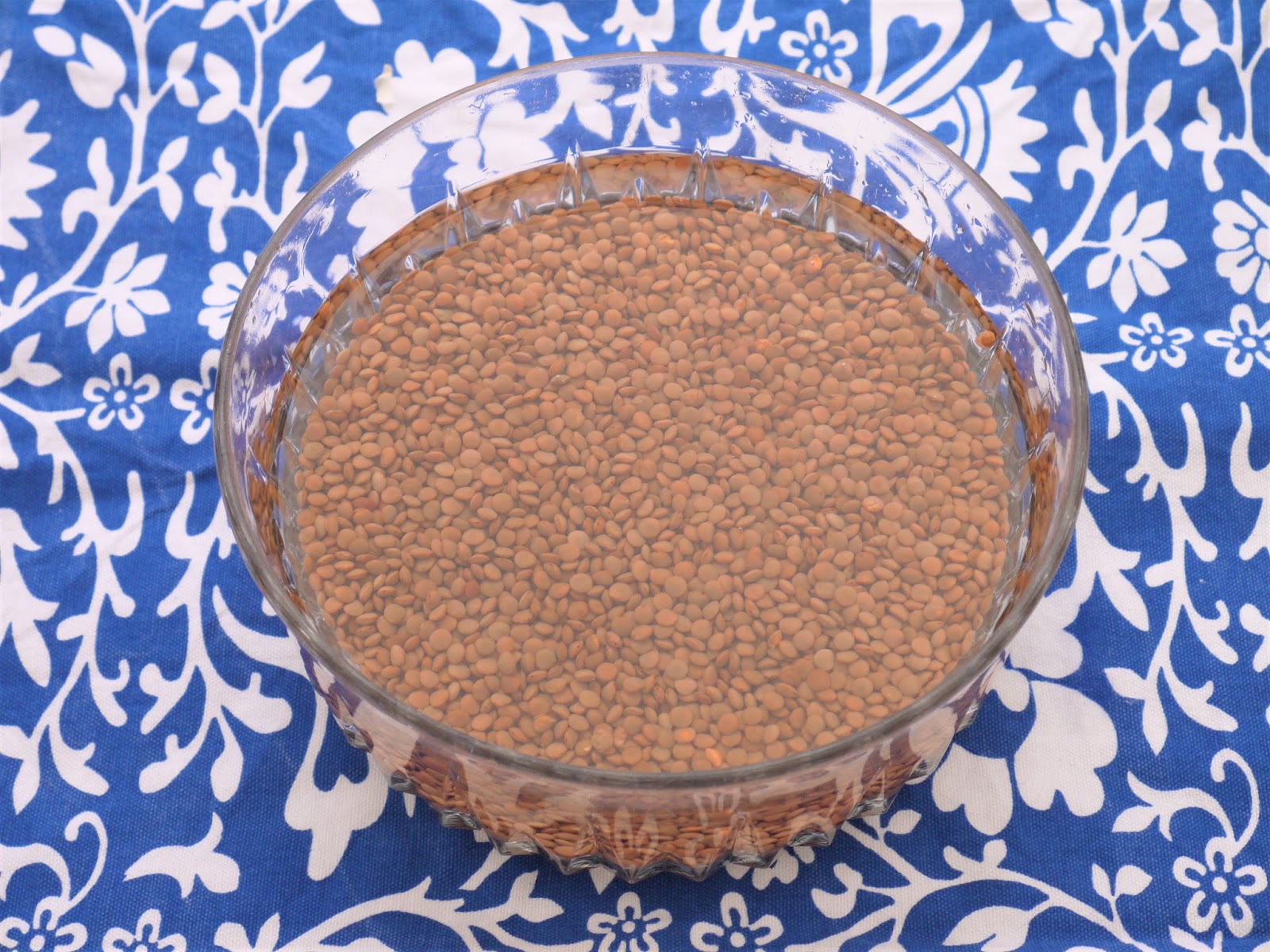 This Muslim Girl Bakes: Brown Daal.