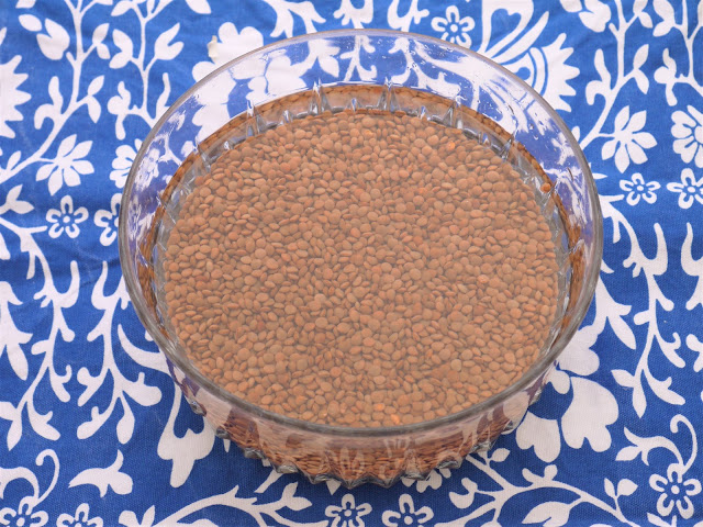 This Muslim Girl Bakes: Brown Daal.