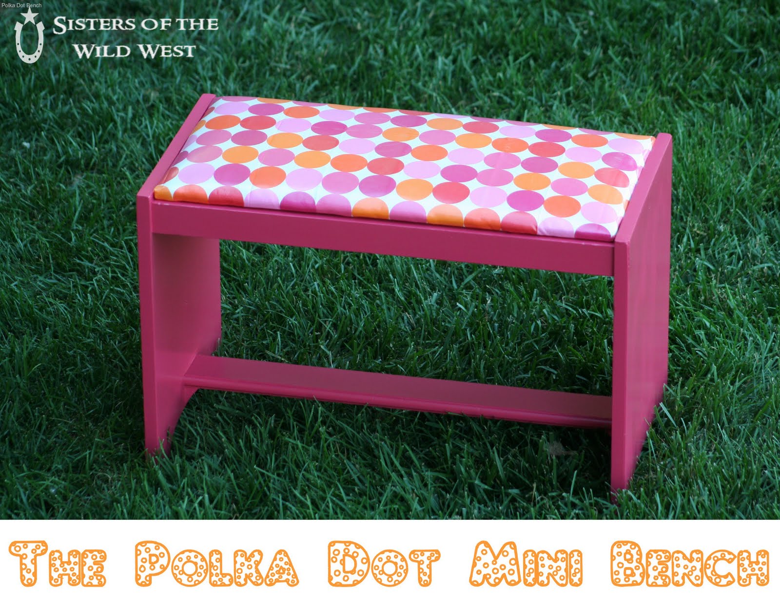 The Polka Dot Bench