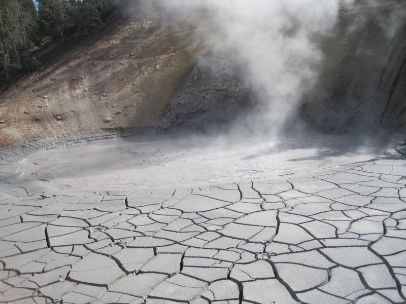 The Scallywagon: YOU SKIN GRIZ', PILGRIM? Yellowstone National Park