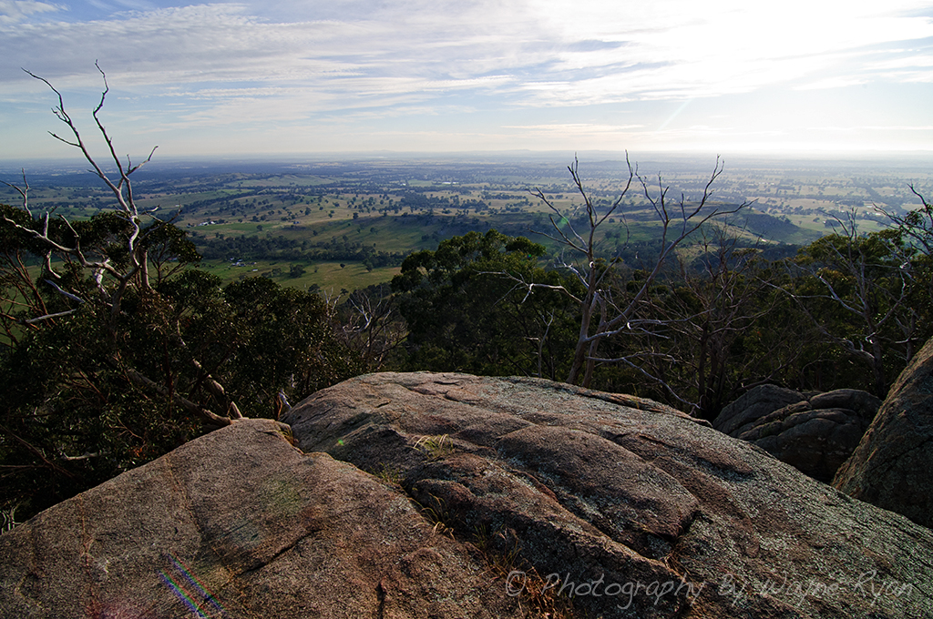 Wayne Ryan's blog: Mount Alexander