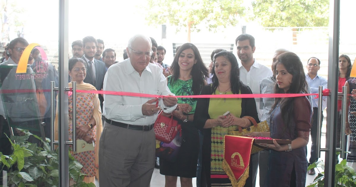 The Northcap University, Gurgaon- Blog: Incubation Centre at The ...