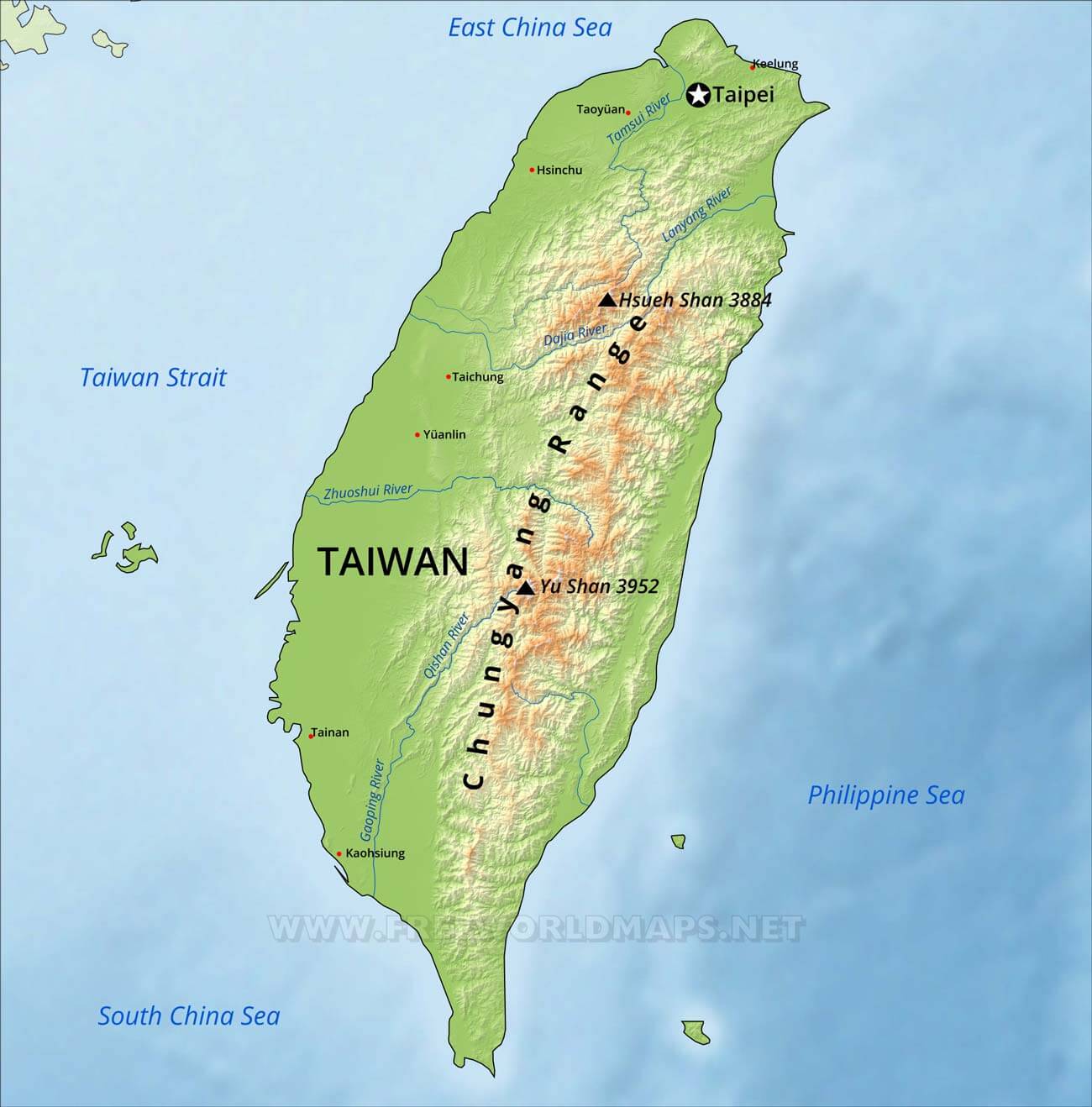 Fauna "Made in Taiwan"