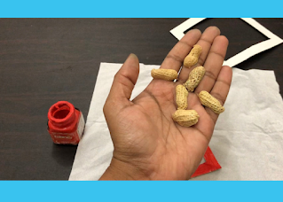 Live Your Passion: Peanut shell Easy Crafts For Kids , Great Idea To ...