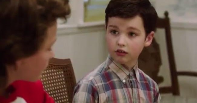 Serie de Sheldon Cooper ~ EL SABIO CRITICA