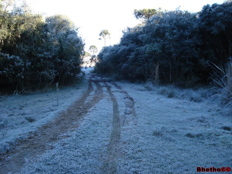 LeãoBaioMotorClub: IMAGENS DO INVERNO LAGEANO - GEADA (LAGES - SC -BRASIL)