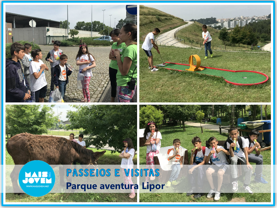 VOZ JOVEM: Um dia no Parque Aventura Lipor