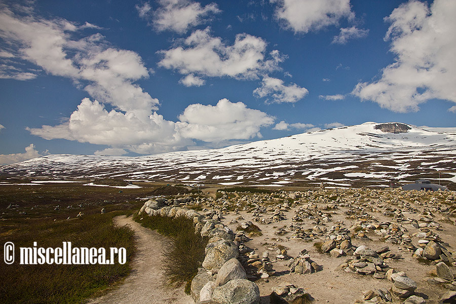 Miscellanea: Norge: Cercul Polar