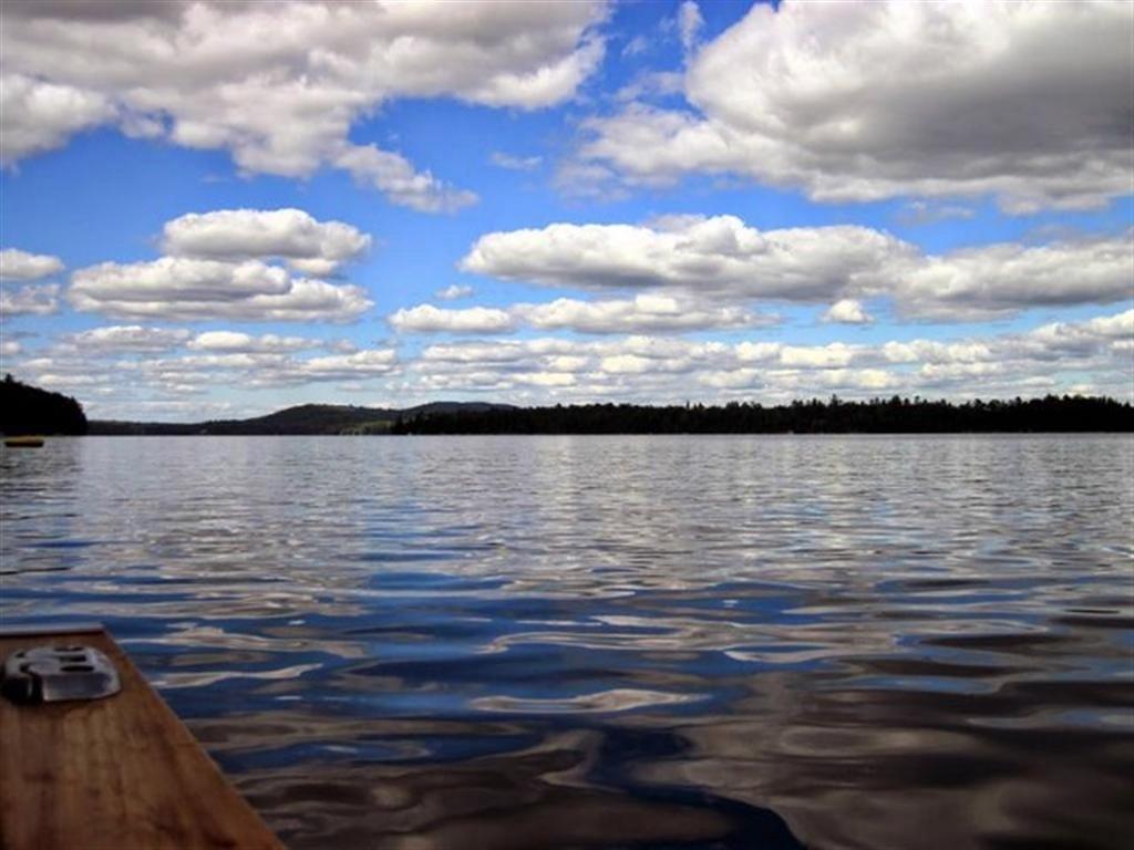 LE MONSTRE DU LAC BLUE-SEA