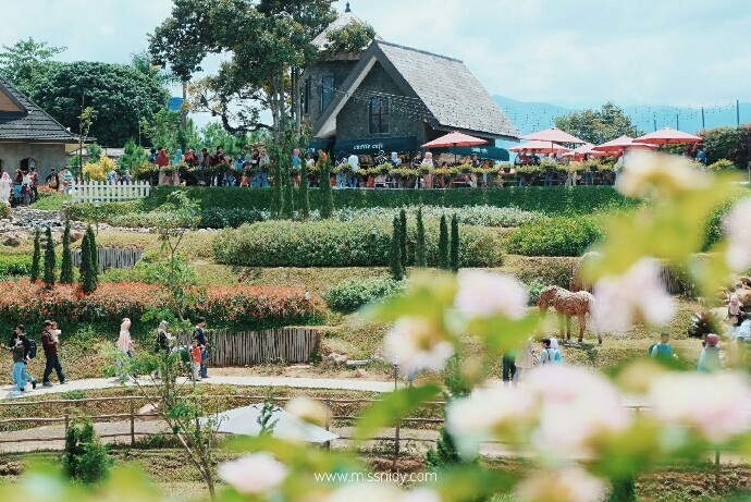 The Ranch Puncak: Wisata Berkuda Baru di Cisarua