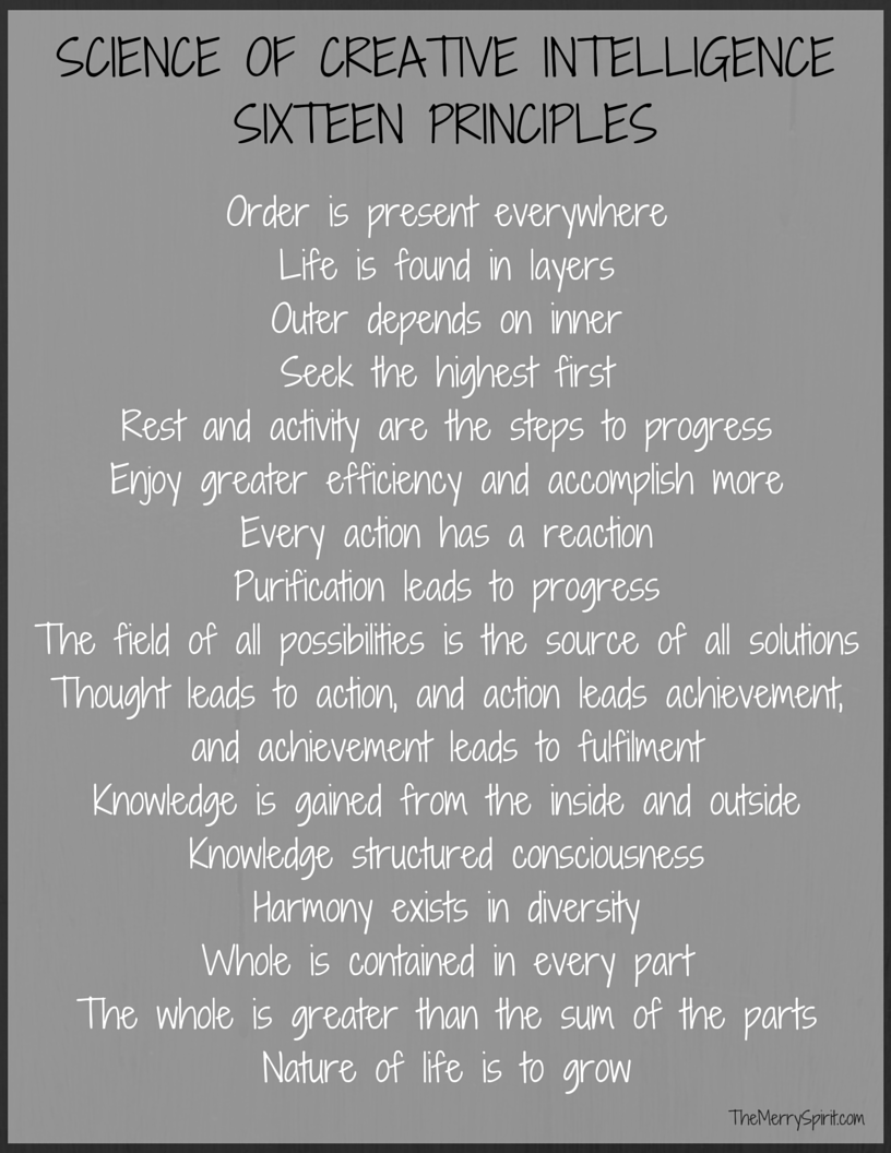 Karma Pin: Science of Creative Intelligence Sixteen Principles