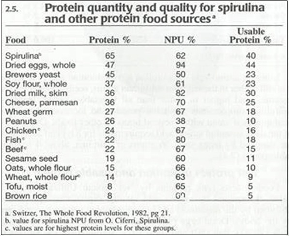 Ganotherapy - Nutrients that heal: The Essence of Mother Nature - Spirulina