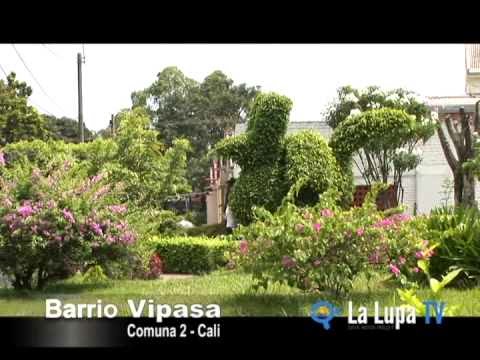 CRONICAS DE BARRIO - CALI VIEJO: HISTORIA BARRIO VIPASA