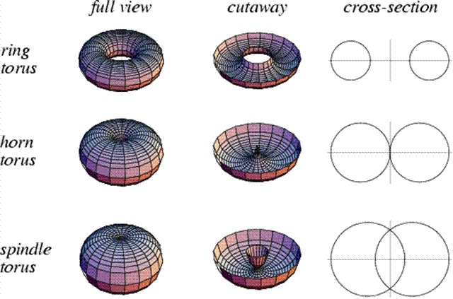 Design Consciousness: Design Metaphysics: The Torus