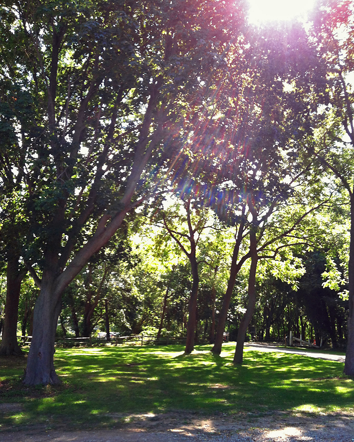 A Long Island Summer In Pictures: NISSEQUOGUE RIVER STATE PARK