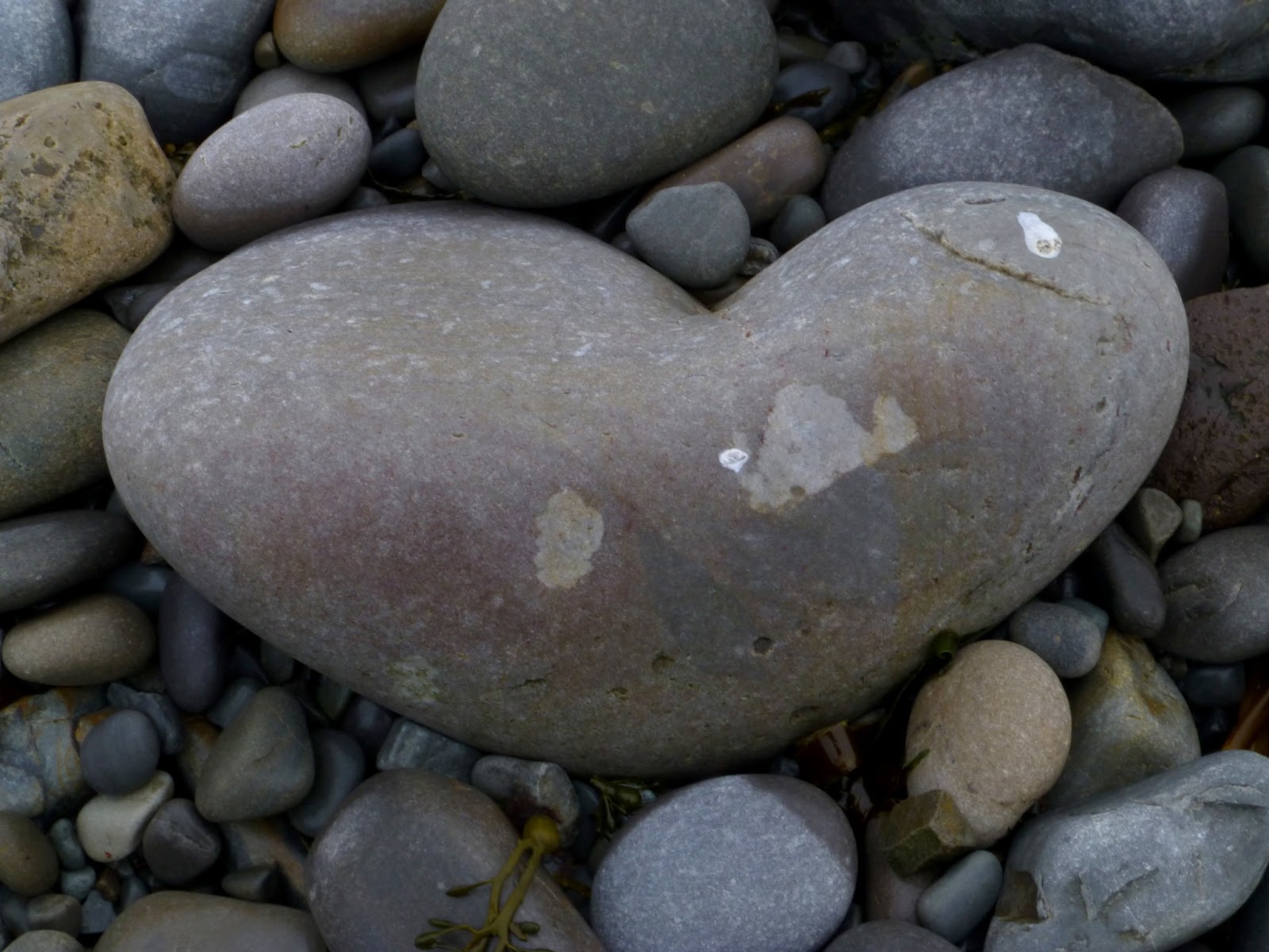 Fair Isle: Nature Lovers! Natural Heart Shapes - Valentine's Day 2013