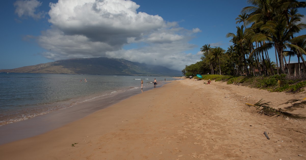 From Snowy Vermont to Tropical Hawaii