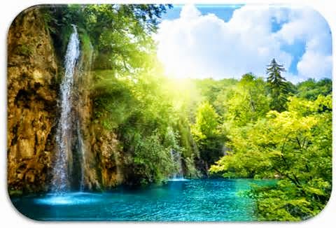 CUIDEMOS EL MEDIO AMBIENTE: EVITEMOS LA CONTAMINACIÓN